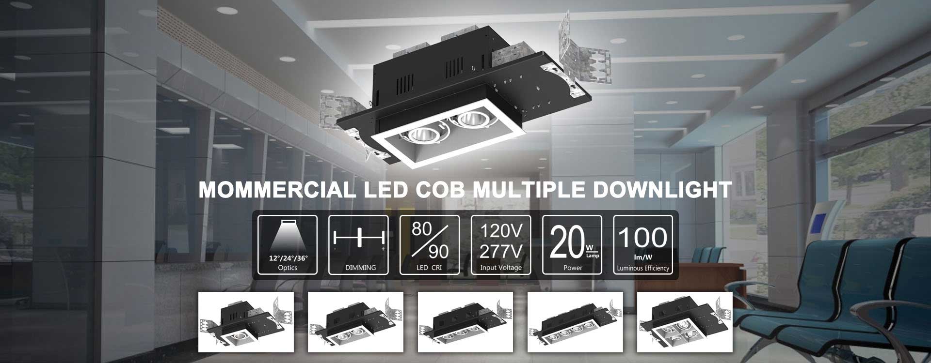 multiple downlight- Liteharbor Lighting